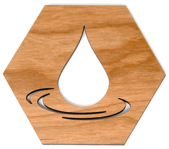 Medallion of Water $100.00